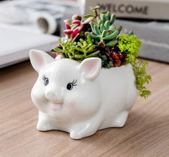 Pig Snail Mouse Ceramic Bonsai Flower Pot Air Plants Succulent | Etsy