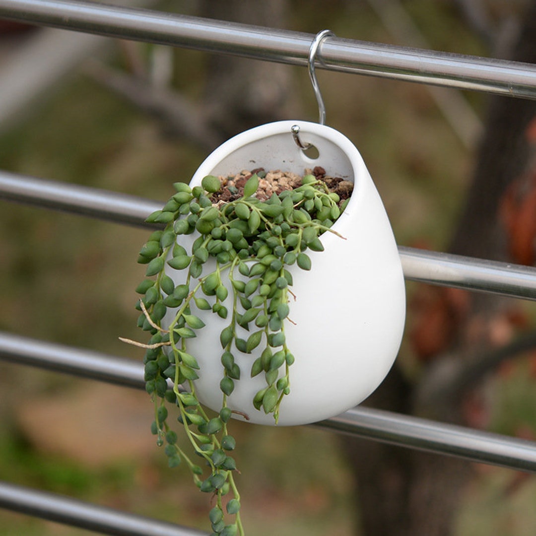 Creative Hanging Planter Basket Ceramic Flower Pot Hang on Wall Home ...