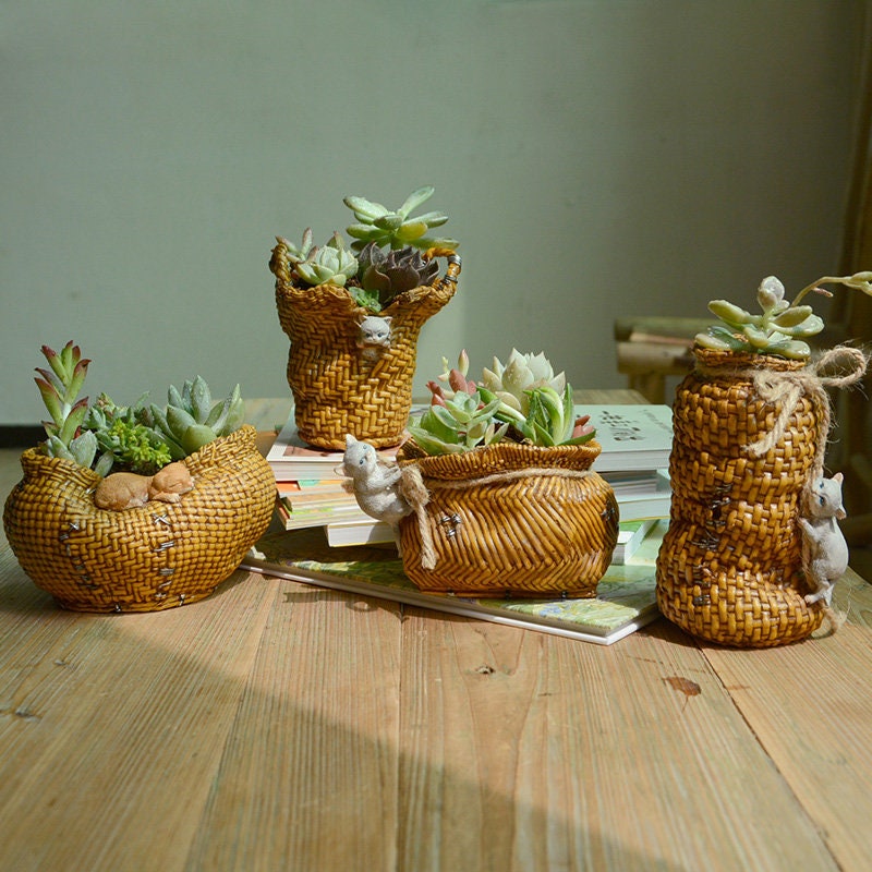 Creative Flower Pot - Etsy