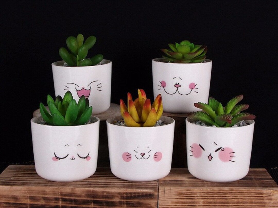 Cute Expression Fleshy Ceramic Flower Pot Brief Crafts Pottery for ...