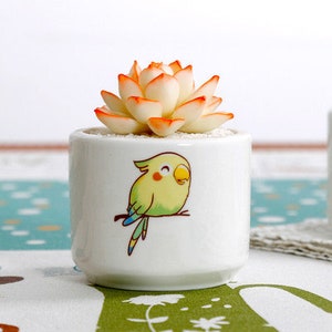 Dog Corgi Hamster Guinea Pig Seal Cat Ceramic Bonsai Pot Flower Pot ...