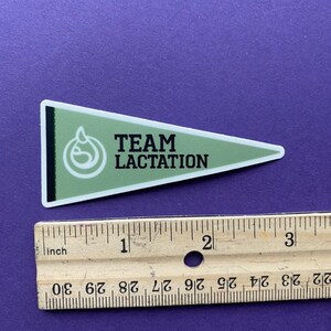 Breastfeeding Sticker, Lactation Consultant Sticker, Water Bottle ...