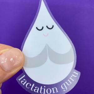 Breastfeeding Sticker Pack, Breastfeeding Support, Lactation Stickers ...