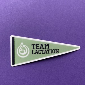 Breastfeeding Sticker, Lactation Consultant Sticker, Water Bottle ...