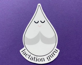 Breastfeeding Sticker, Lactation Consultant, Water Bottle Sticker - Etsy