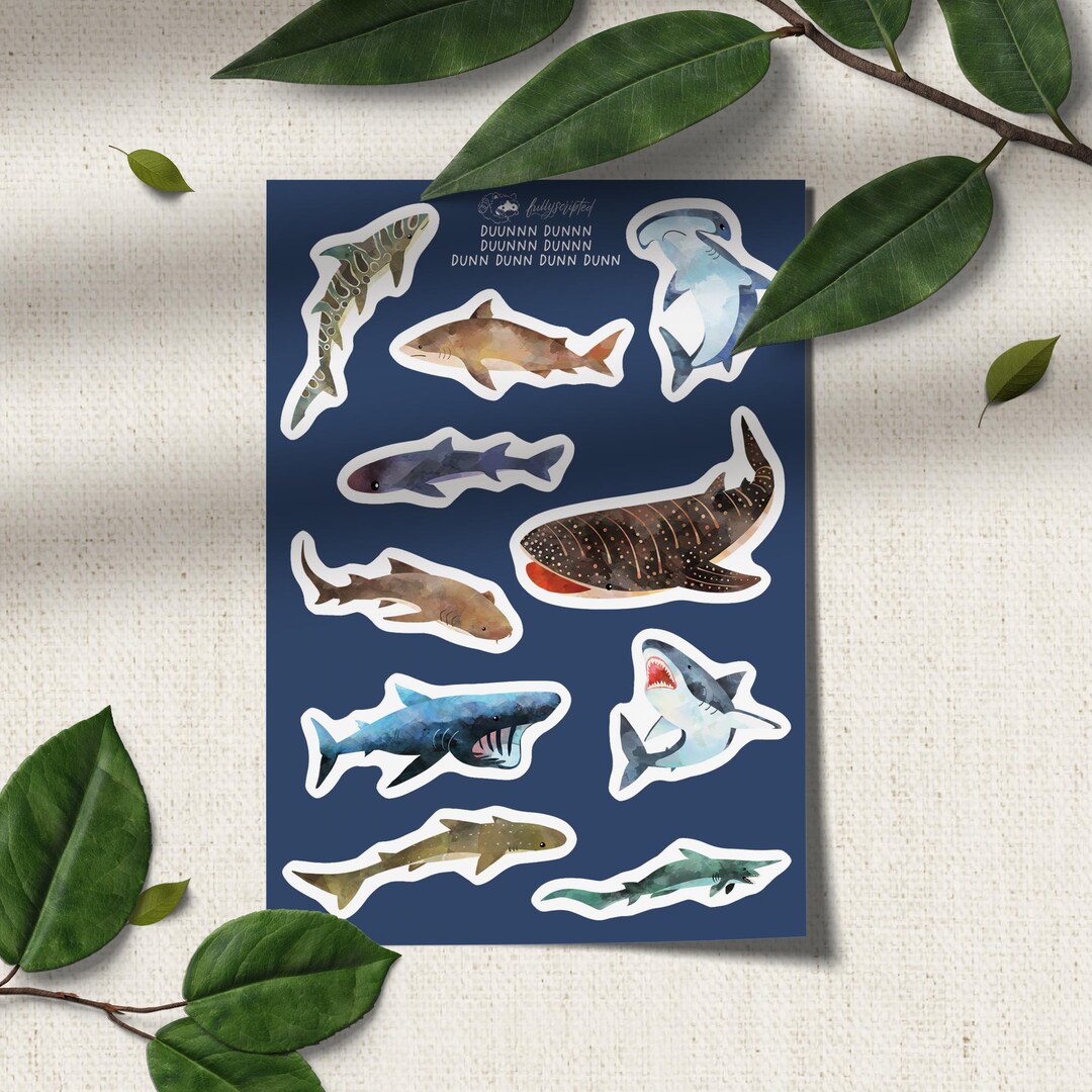 Sharks Vinyl Waterproof Laptop Die Cut Sticker Sheet - Etsy