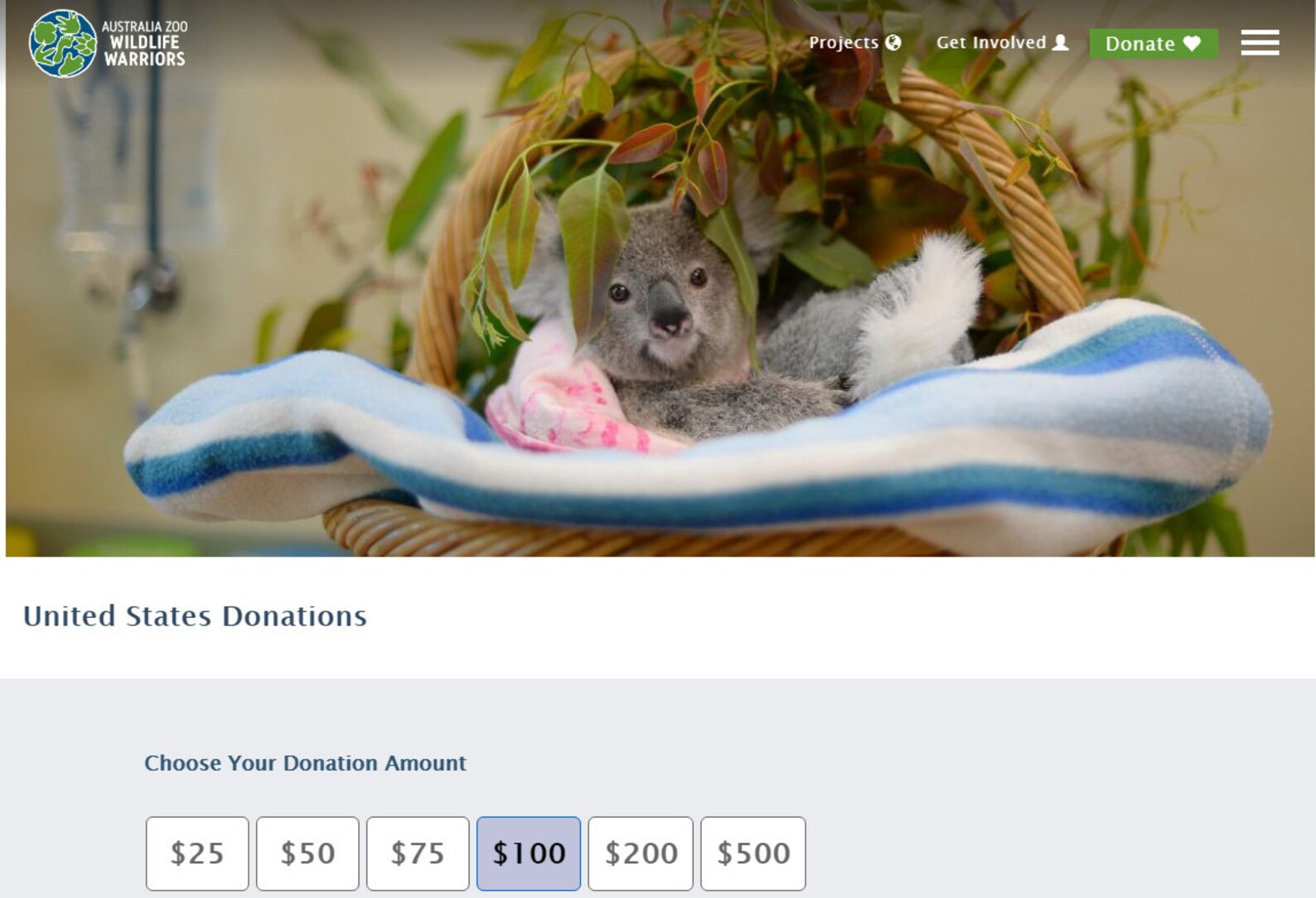 Lewis the Koala Save Australia Enamel Pin - Etsy