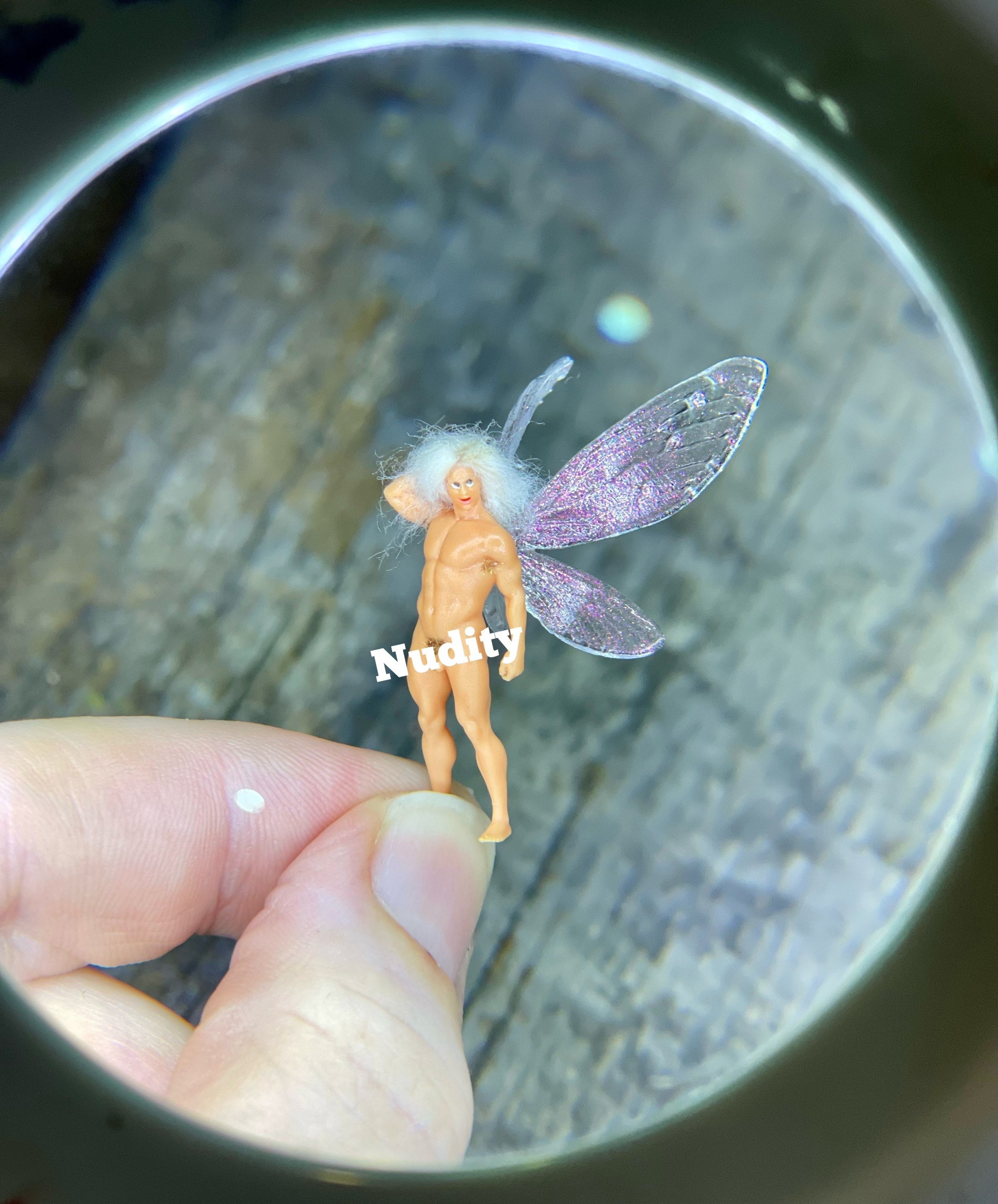 Jilli Miniature Fairy Figurine- Micro Fairy Micro Miniatures Terrarium Figurines Miniature Dolls ...