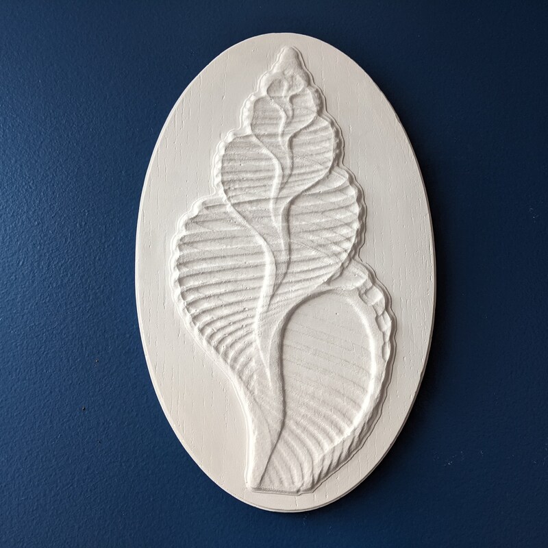 Seashell Wall Art - Etsy