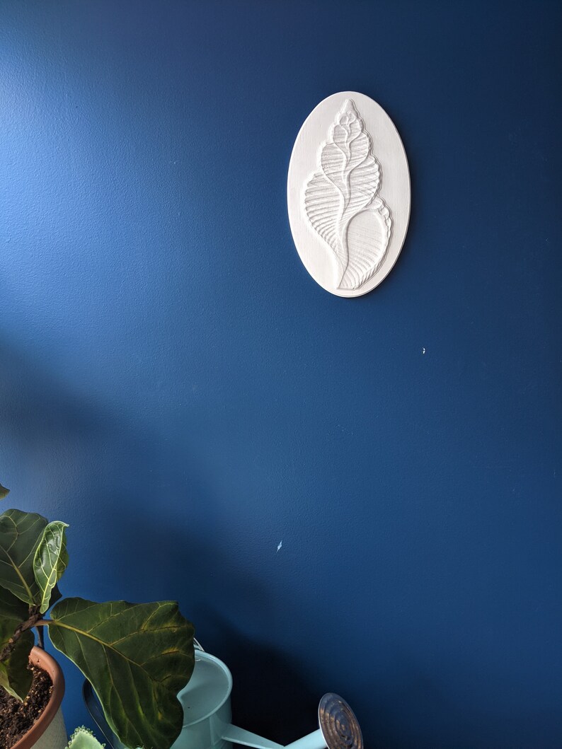 Handmade White Bas-relief Seashell Wall Art Elegant and Detailed ...