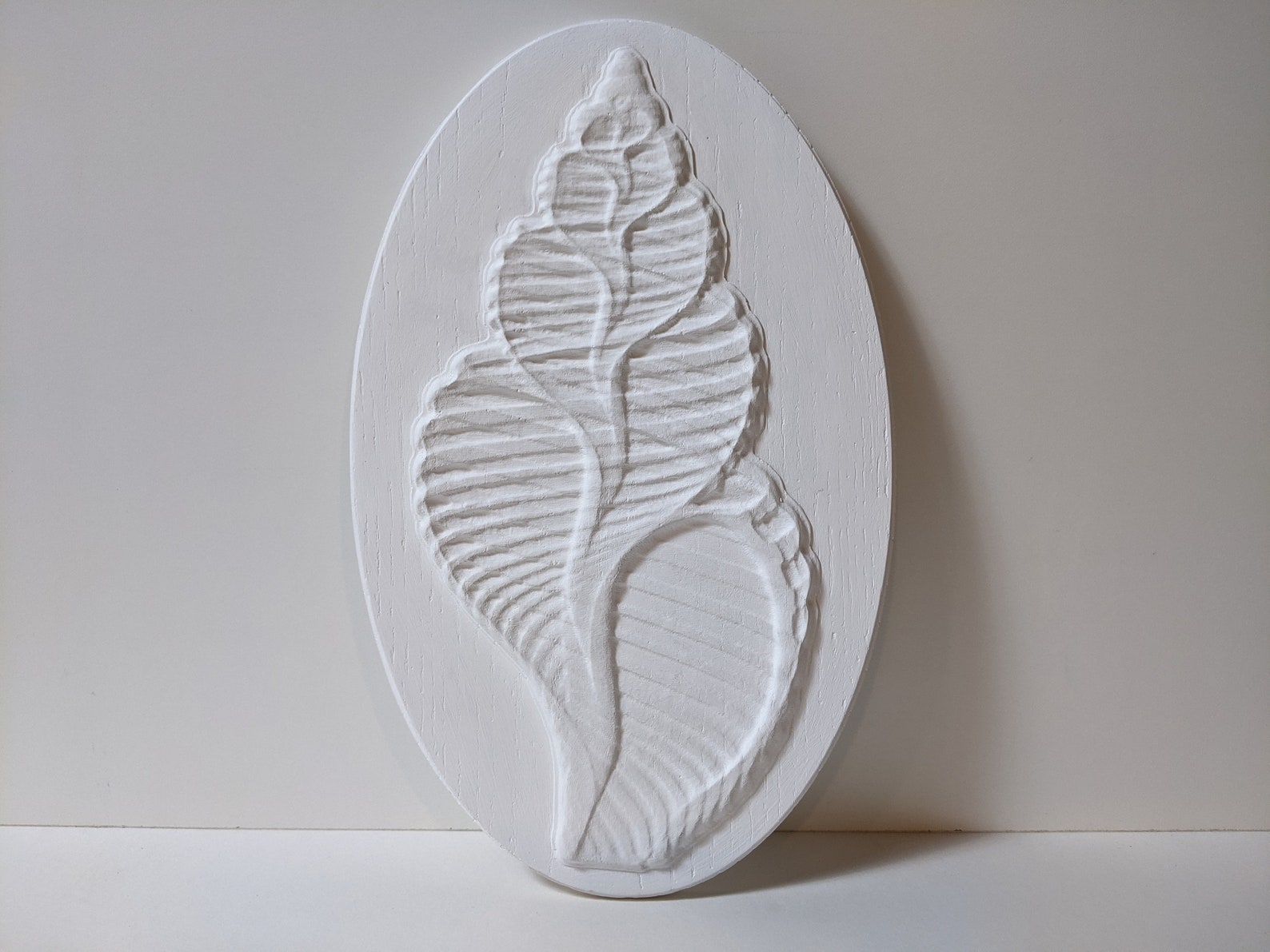 Handmade White Bas-relief Seashell Wall Art Elegant and Detailed ...