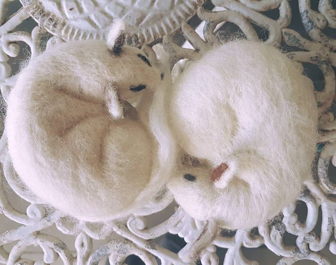 CUSTOM MADE Arctic Fox Foxes Needle Felted Animal Spirit - Etsy Australia