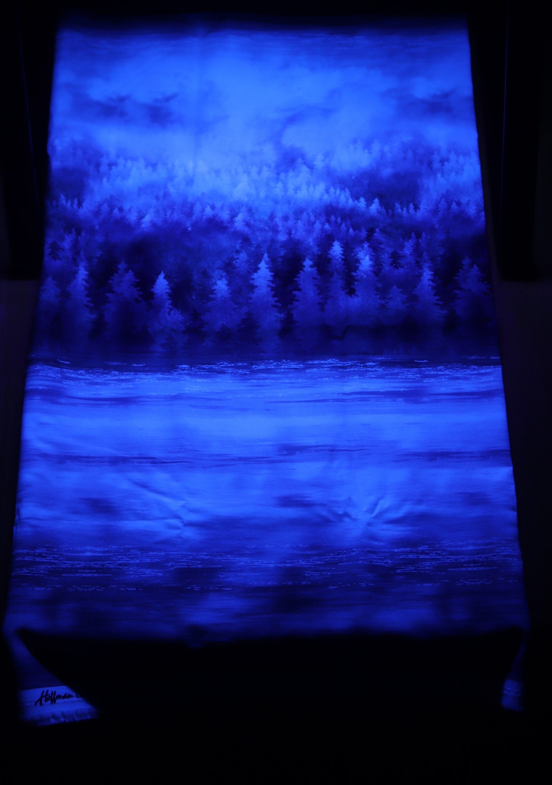Painted Forest Black Light Fabric, by the Yard - Etsy