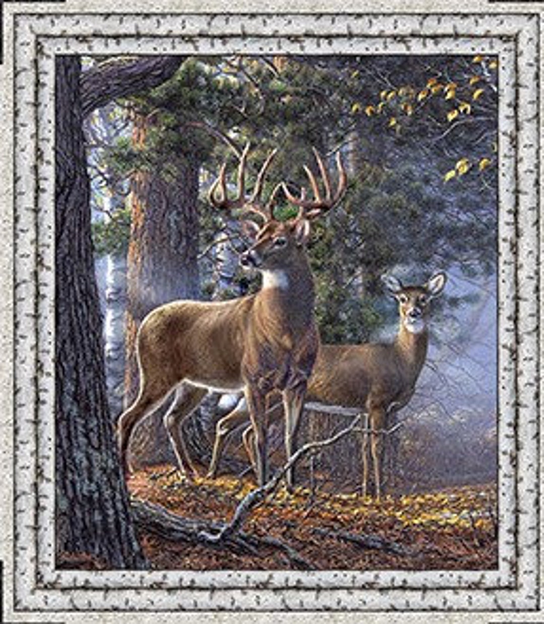 First Light Quilt Panel Naturescapes Northcott Fabric - Etsy