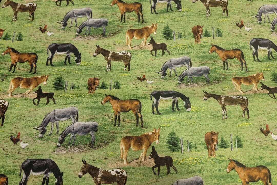 Donkeys Allover Quilt Fabric Yardage by Elizabeth Studio - Etsy