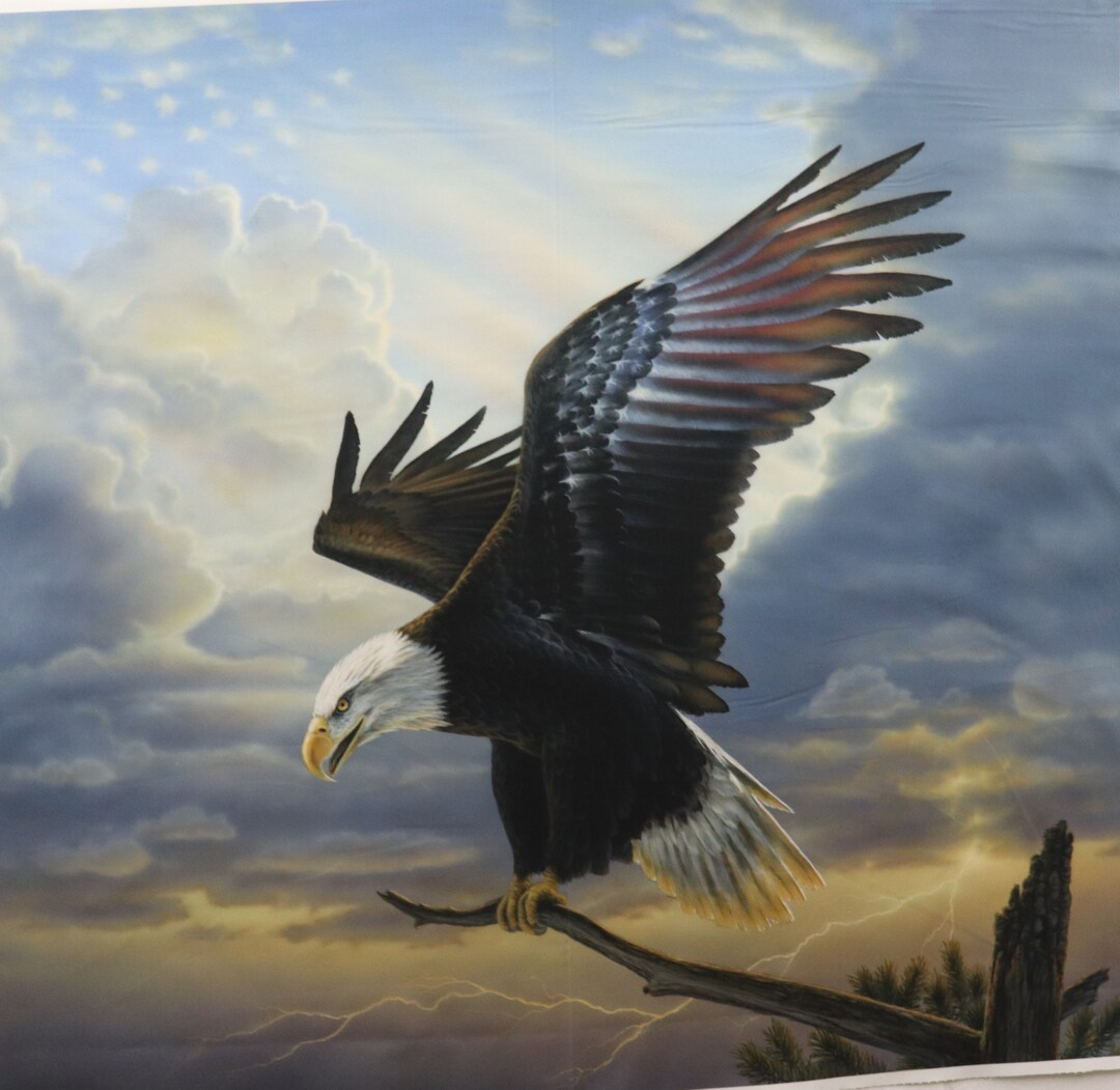 Winged Glory Eagle Quilt Fabric Panel by Northcott Fabrics - Etsy