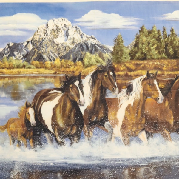 Ride the Range Riley Blake Fabric - Etsy