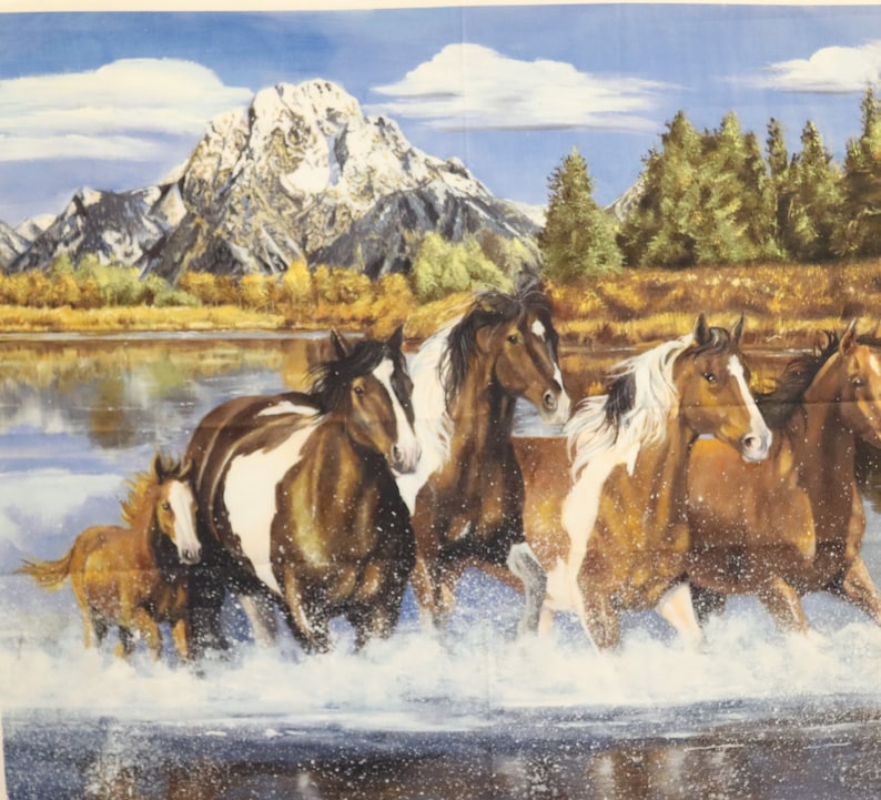 Riley Blake Ride the Range Going Home Panel - Etsy