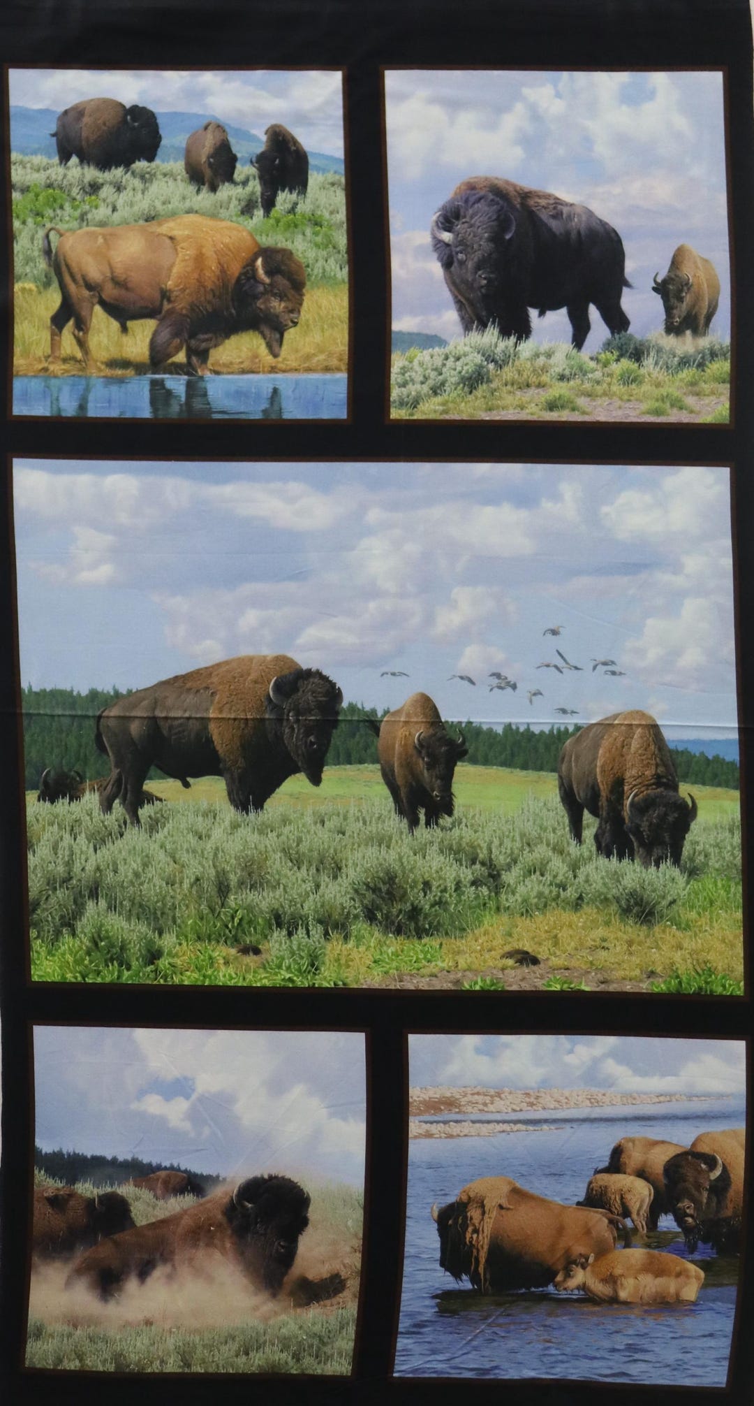 Buffalo Quilt Fabric Panel by Elizabeth Studio - Etsy