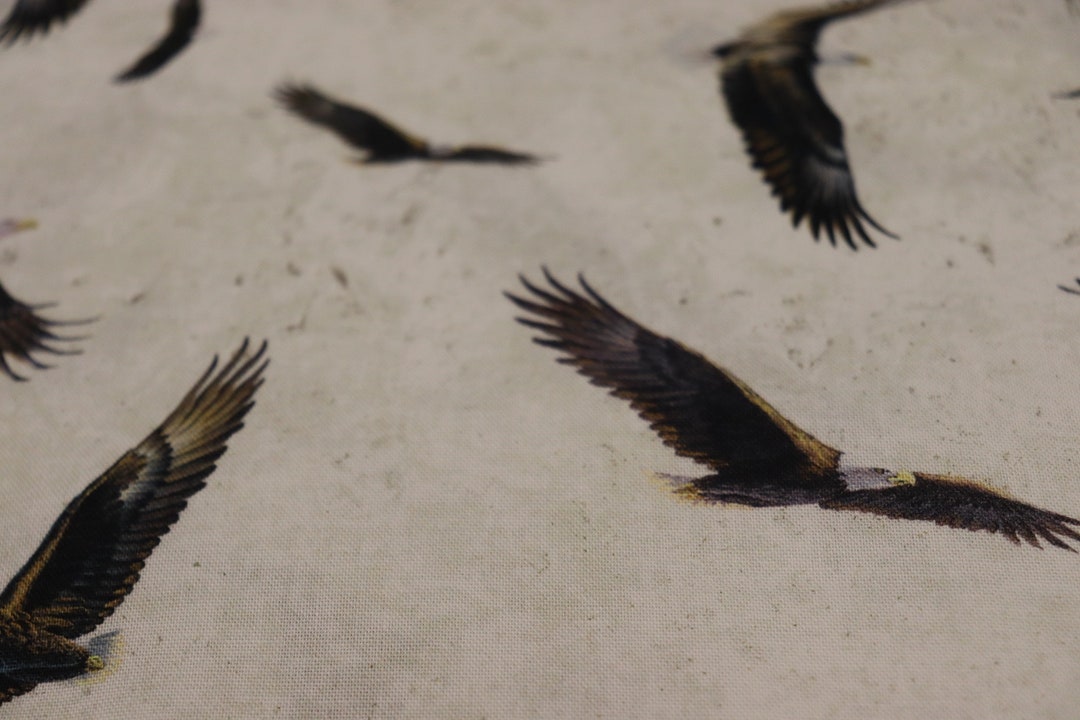 Winged Glory White Eagle Toss Quilt Fabric by Northcott Fabrics - Etsy