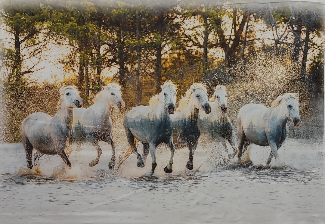 Call of the Wild Running Horses Fabric Panel-"rusty" Hoffman Fabrics - Etsy