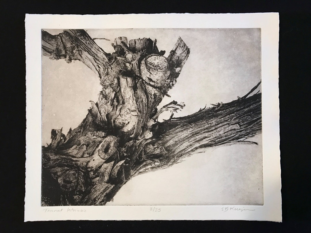 Original Etching of Grapevine tannat Intrinsic - Etsy