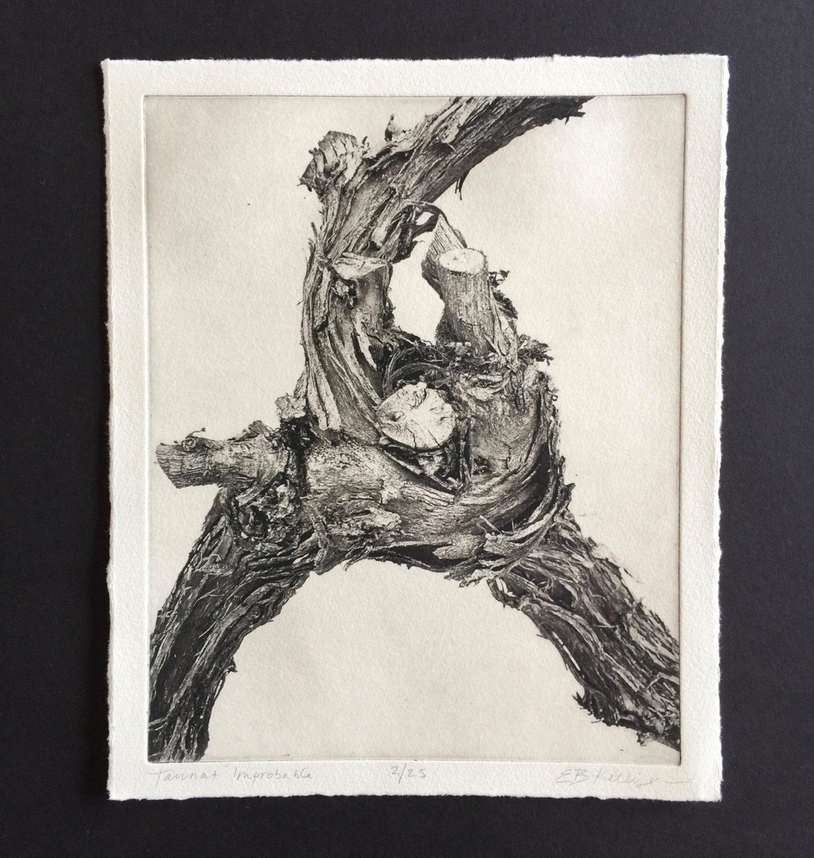 Original Etching of Grapevine, "tannat Improbable", Limited Edition of ...