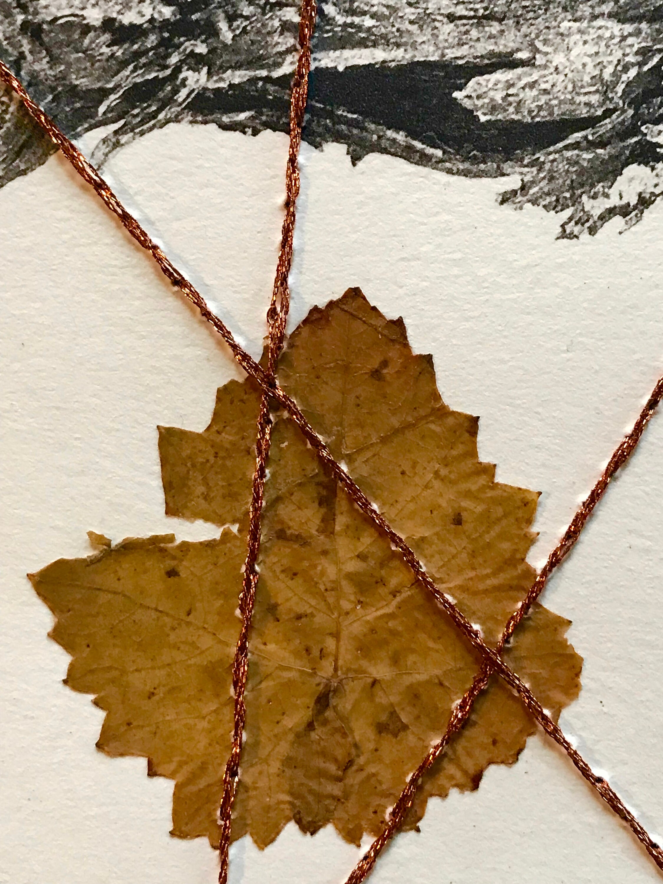 Original Embroidered Etching of Grapevine, copper Vines One of a Kind ...