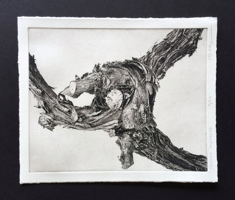 Original Etching of Grapevine, "tannat Improbable", Limited Edition of ...