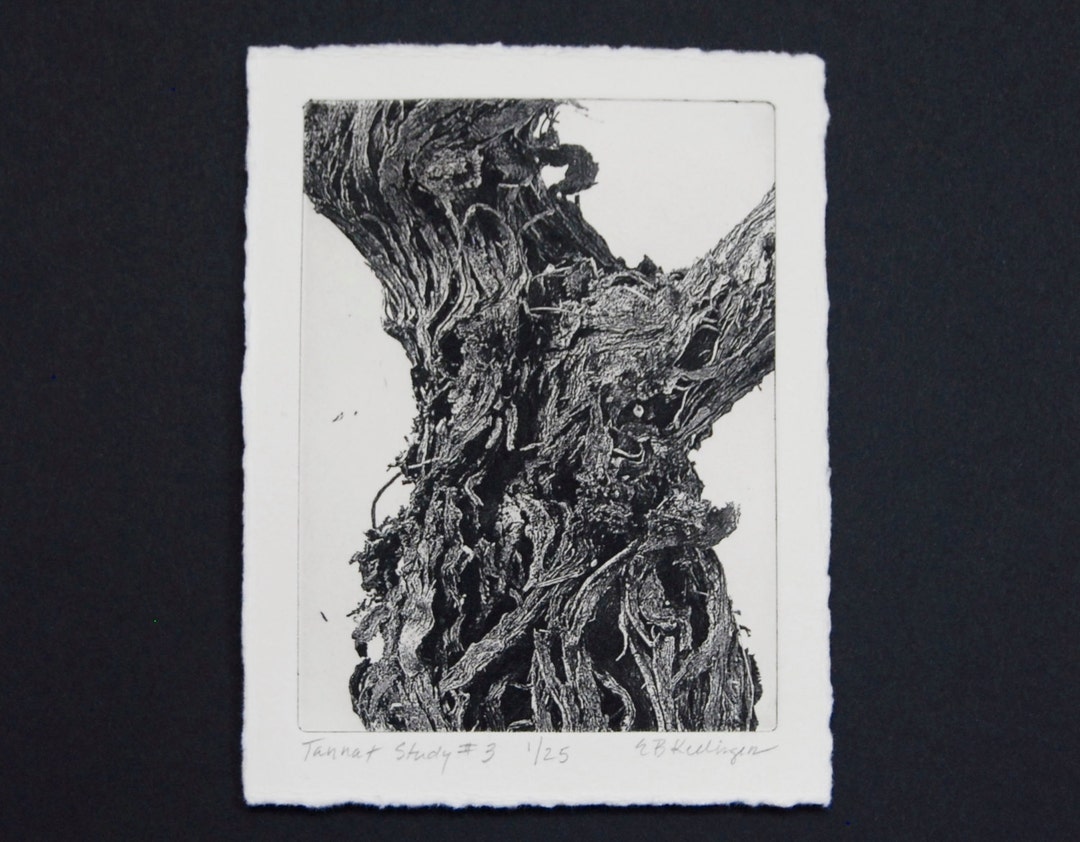 Original Etching of Grapevine, "tannat Study #3, Limited Edition of 25 ...