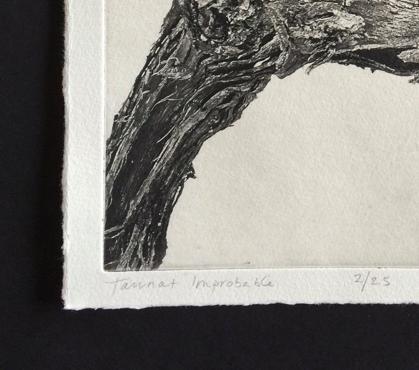 Original Etching of Grapevine, "tannat Improbable", Limited Edition of ...