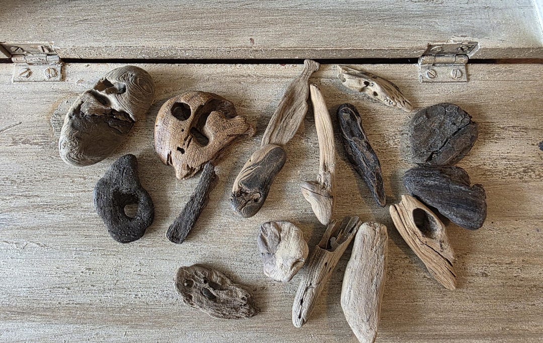 Small Sculptural Beachcomber Natural Driftwood Pieces X 16 - Etsy
