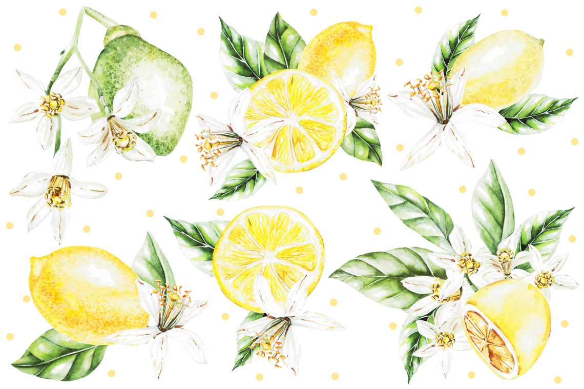 Lemon Clipart Citrus Watercolor Fruits Clip Art Yellow Lemons Clipart ...