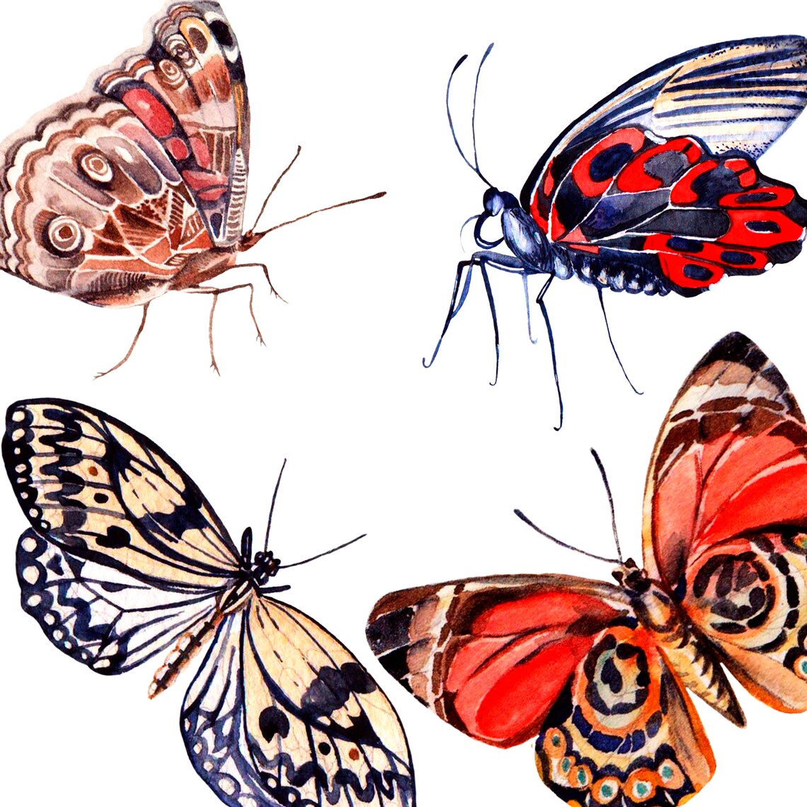 Watercolor Butterfly Art, Watercolor Butterfly Clip Art, Vintage ...