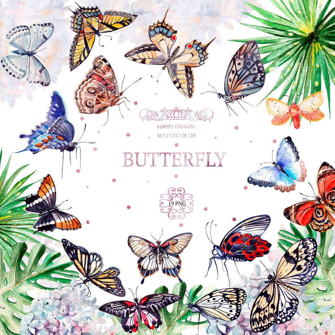 Watercolor Butterfly Art, Watercolor Butterfly Clip Art, Vintage ...