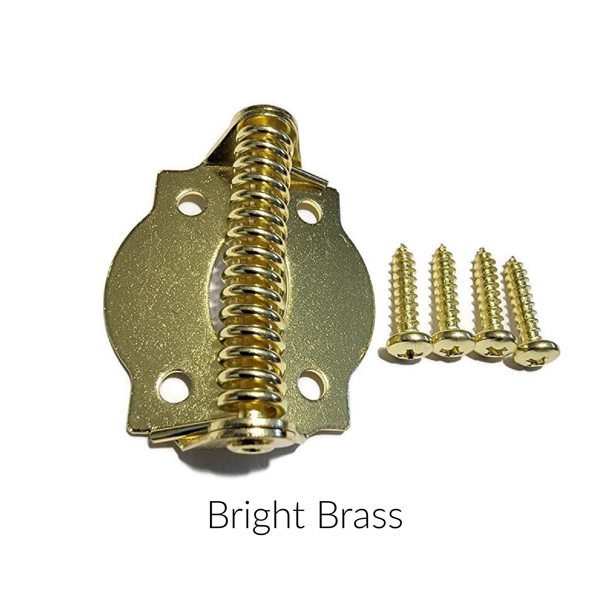 Spring Hinge Full Surface Hinges With Spring 5 Finishes - Etsy