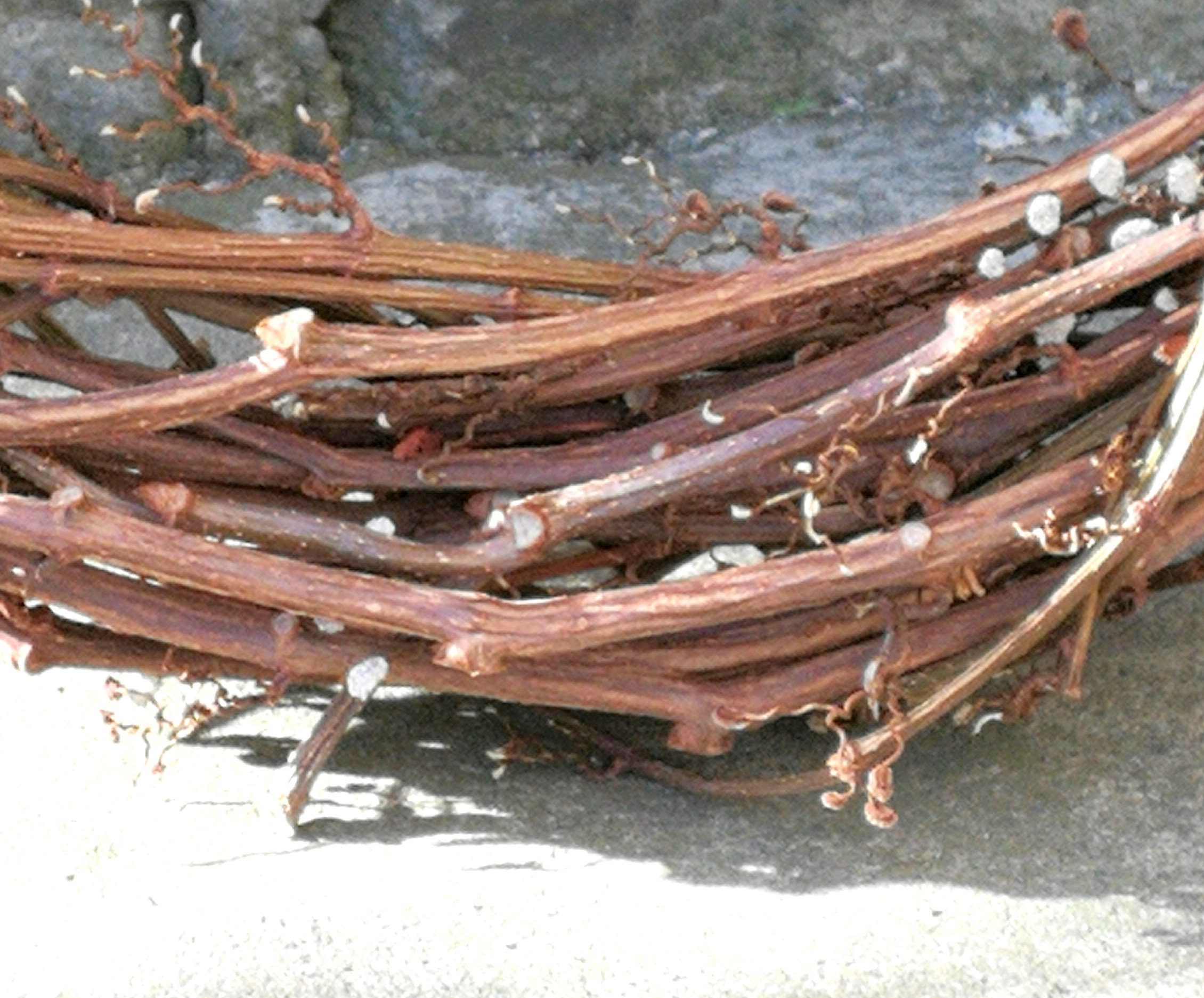 Twig Wreath for Decoration Natural Wreath Spring Door Twig Hoop Real ...