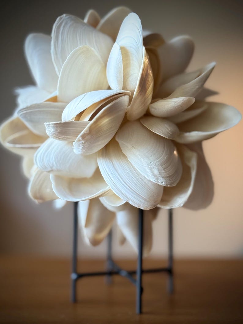 Surf-clam Shell Sphere - Etsy
