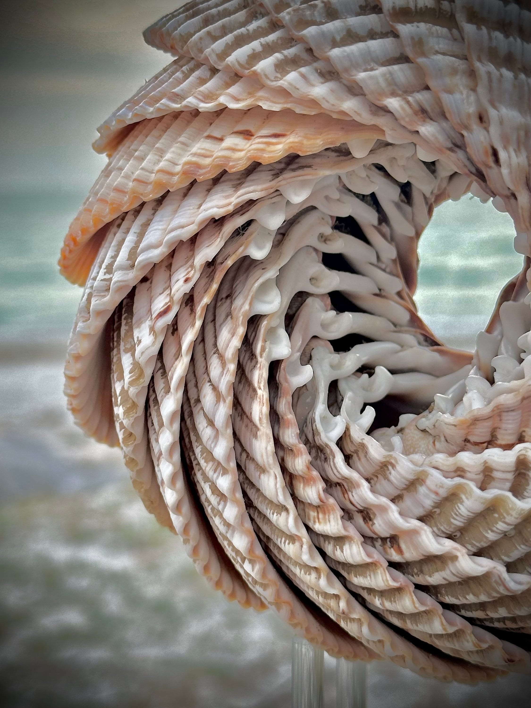 Ring of the Sea - Etsy