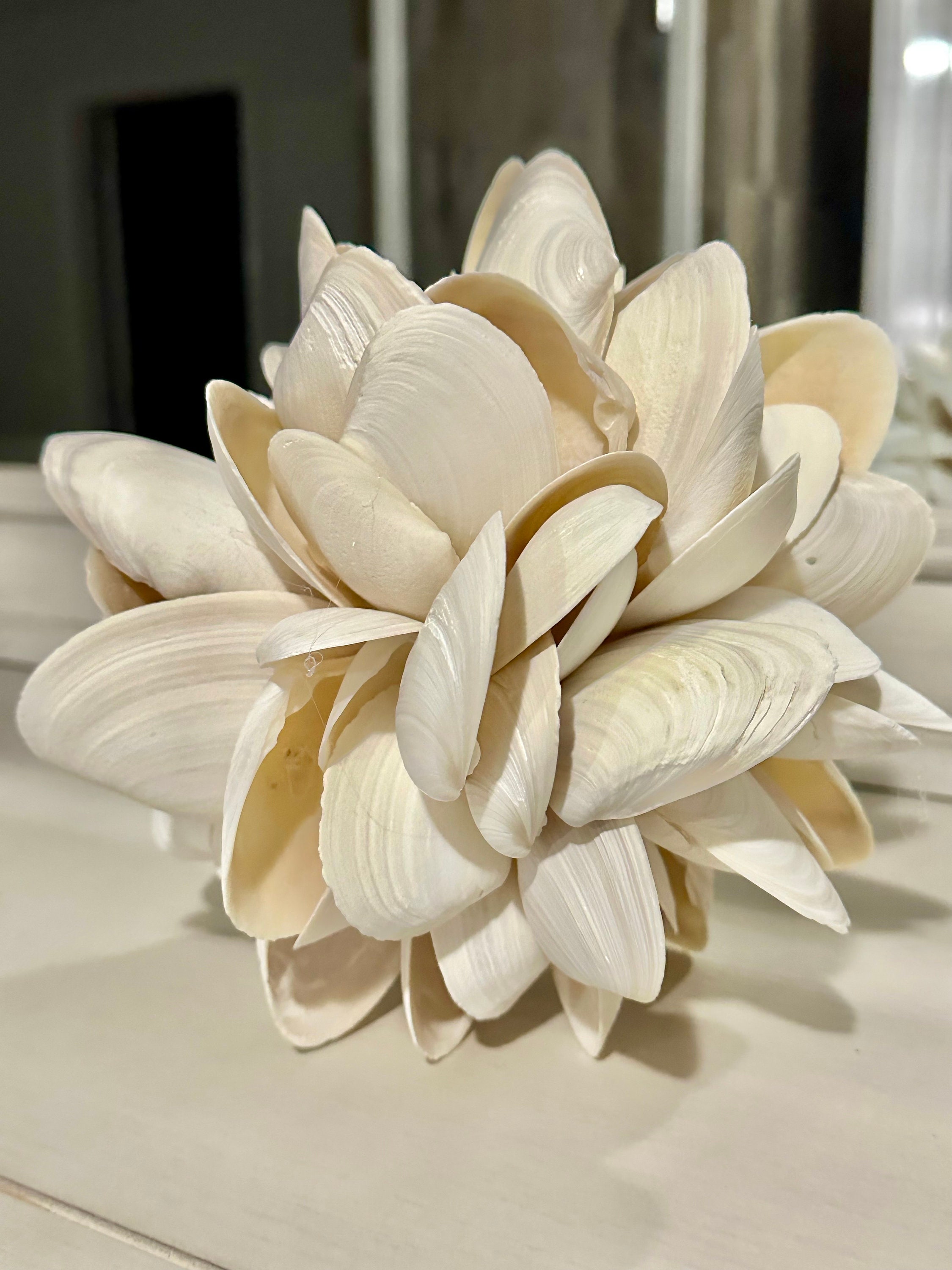 Surf-clam Shell Sphere - Etsy