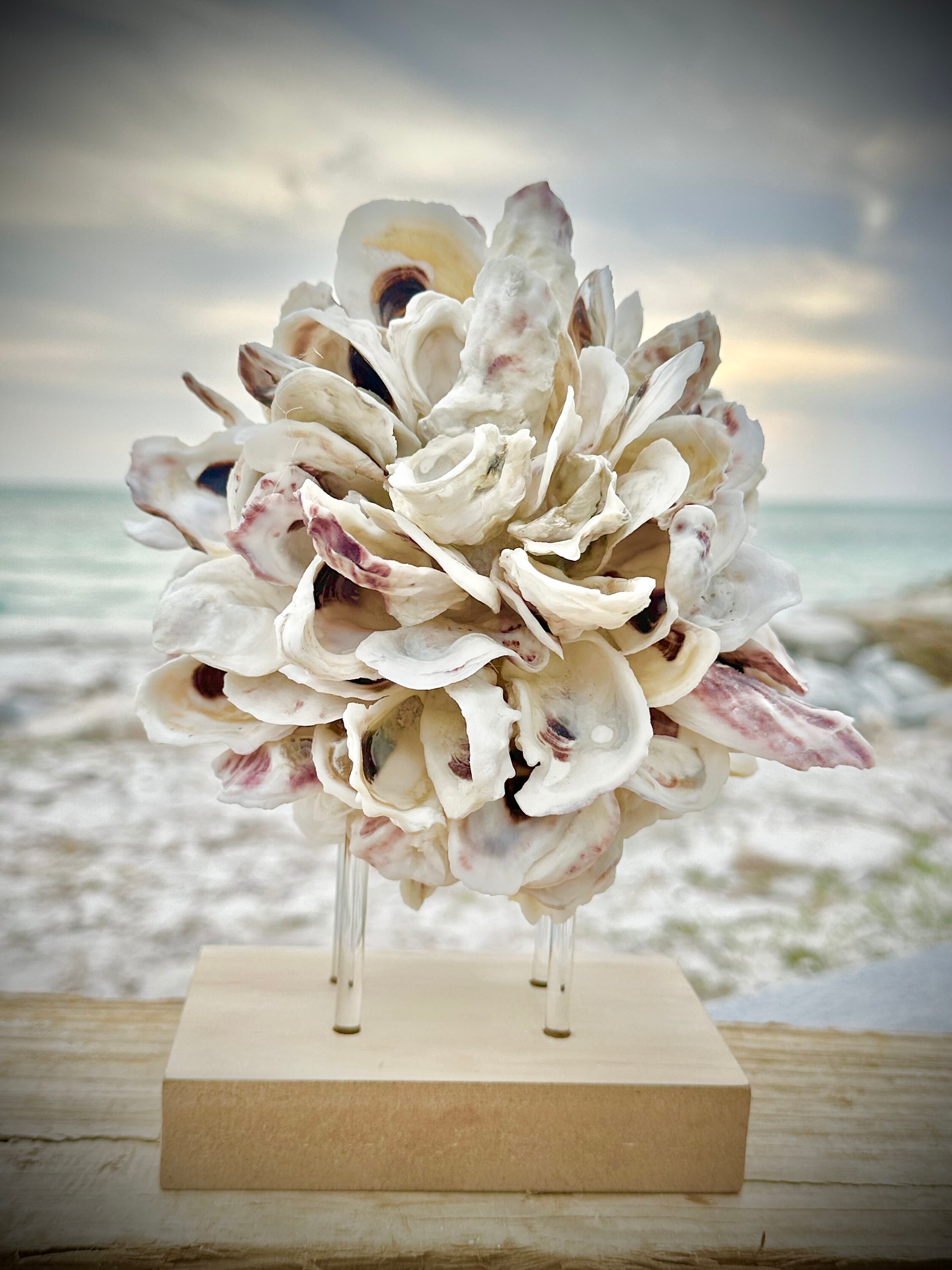 Oyster Shell Sphere - Etsy