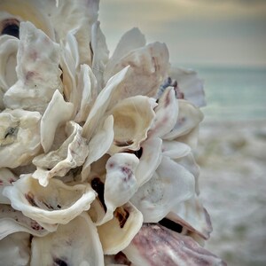 Oyster Shell Sphere - Etsy