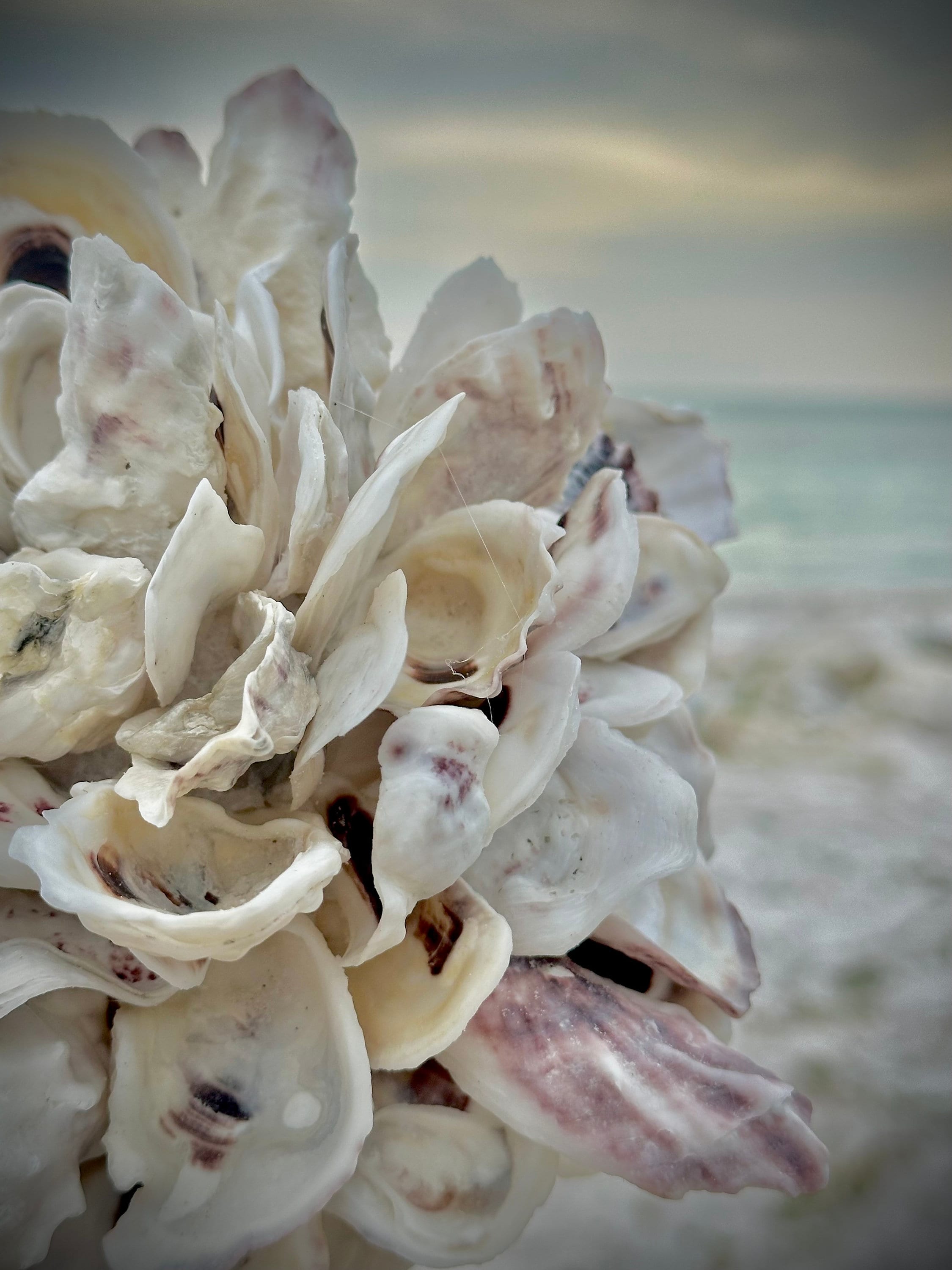 Oyster Shell Sphere - Etsy