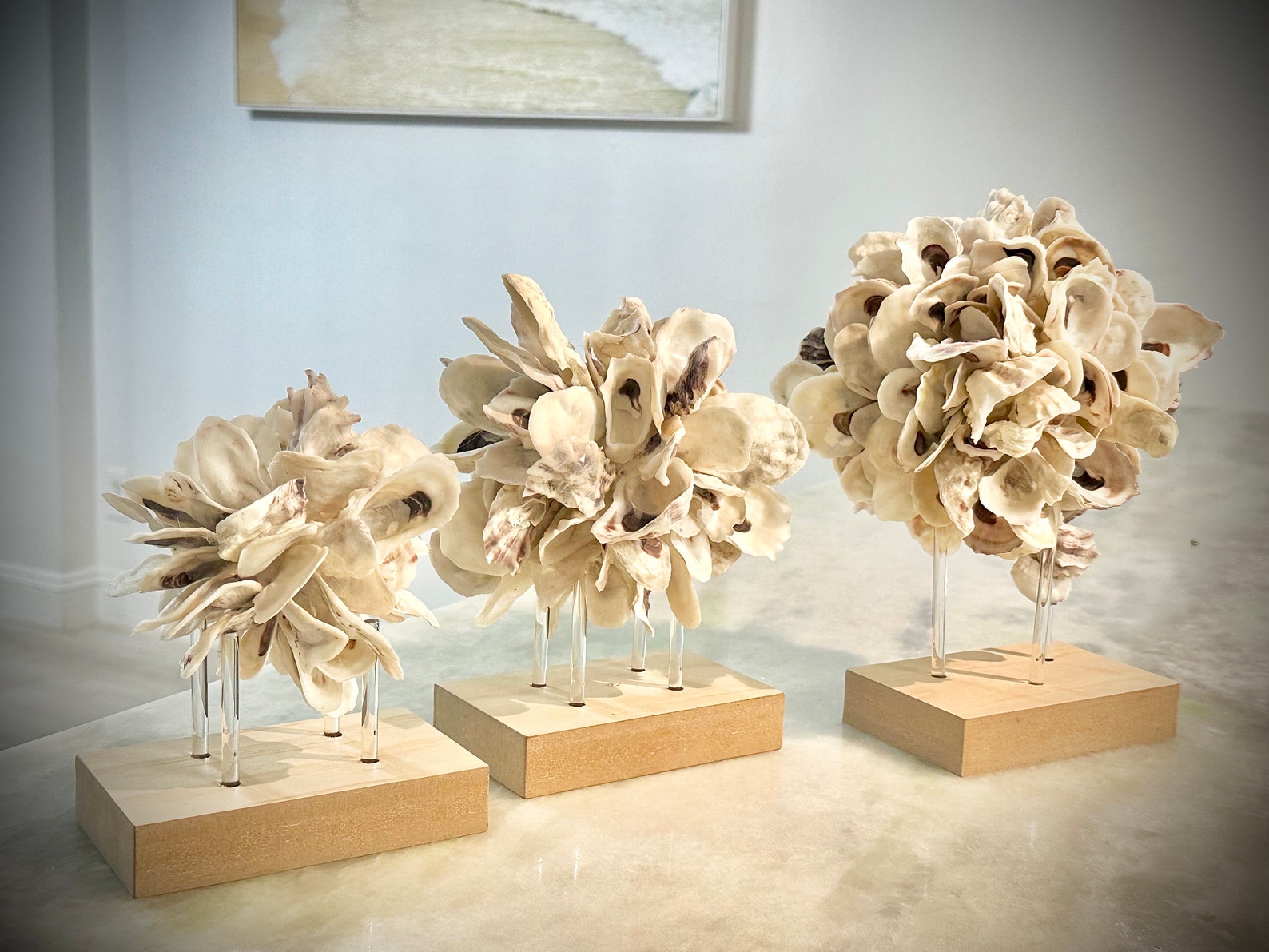 Oyster Shell Sphere - Etsy