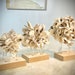 Oyster Shell Sphere - Etsy