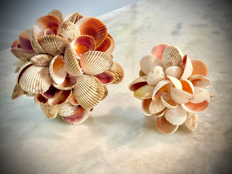 Cockle Shell Sphere - Etsy