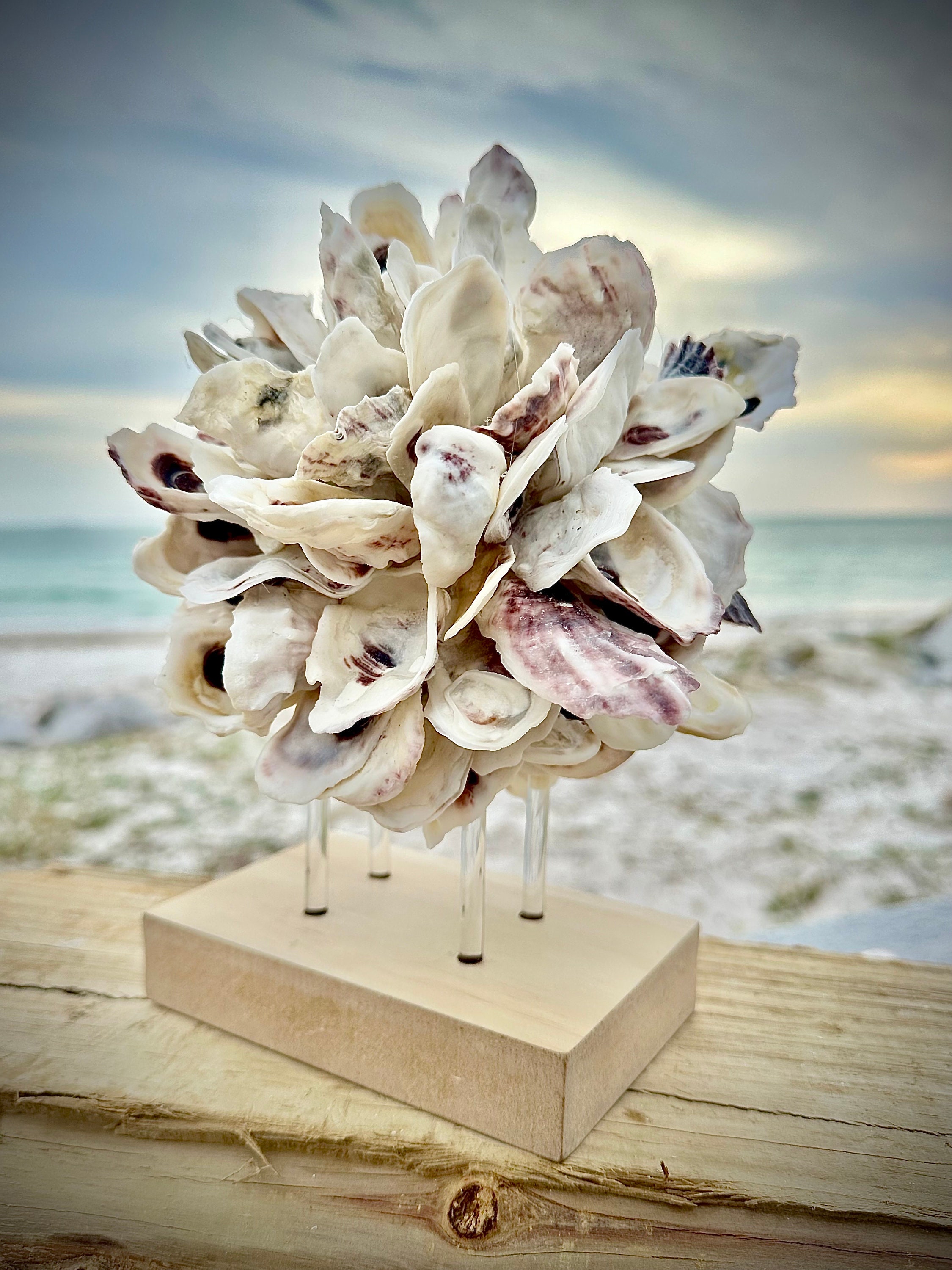 Oyster Shell Sphere - Etsy