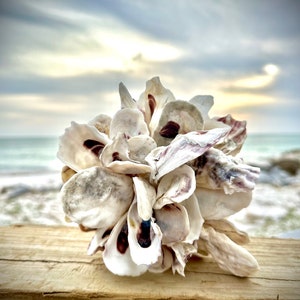 Oyster Shell Sphere - Etsy