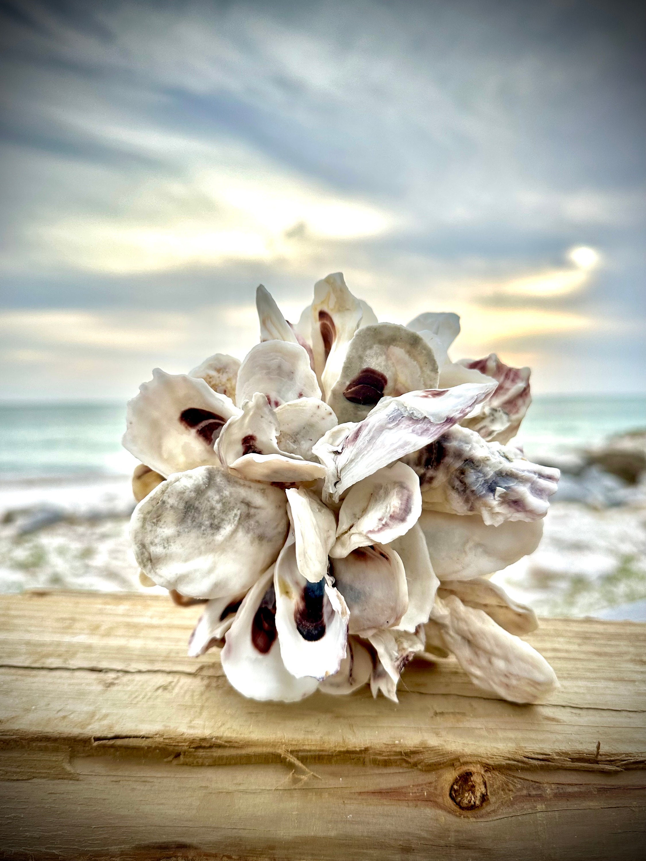 Oyster Shell Sphere - Etsy