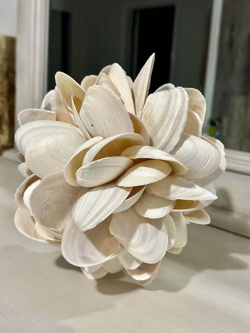 Surf-clam Shell Sphere - Etsy